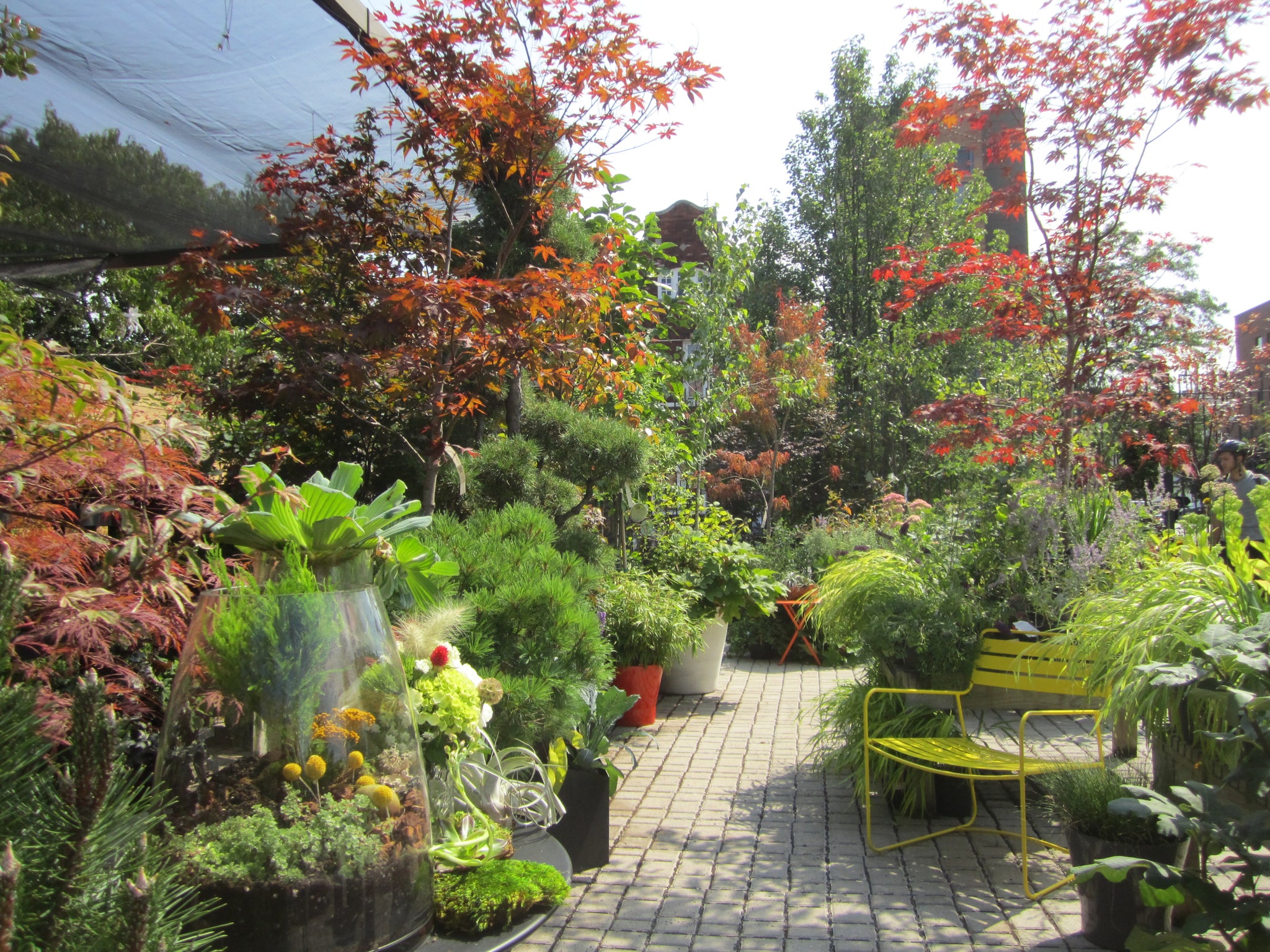 Outdoor Garden at SPROUT HOME
