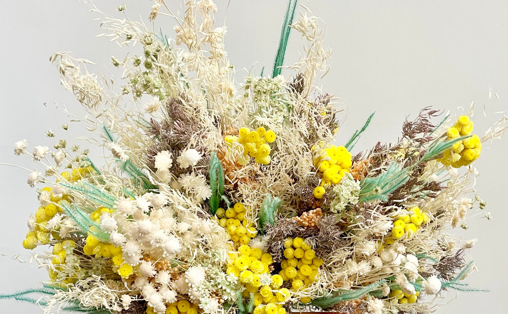 Sprout Home: Shop Plants, Floral & Decor