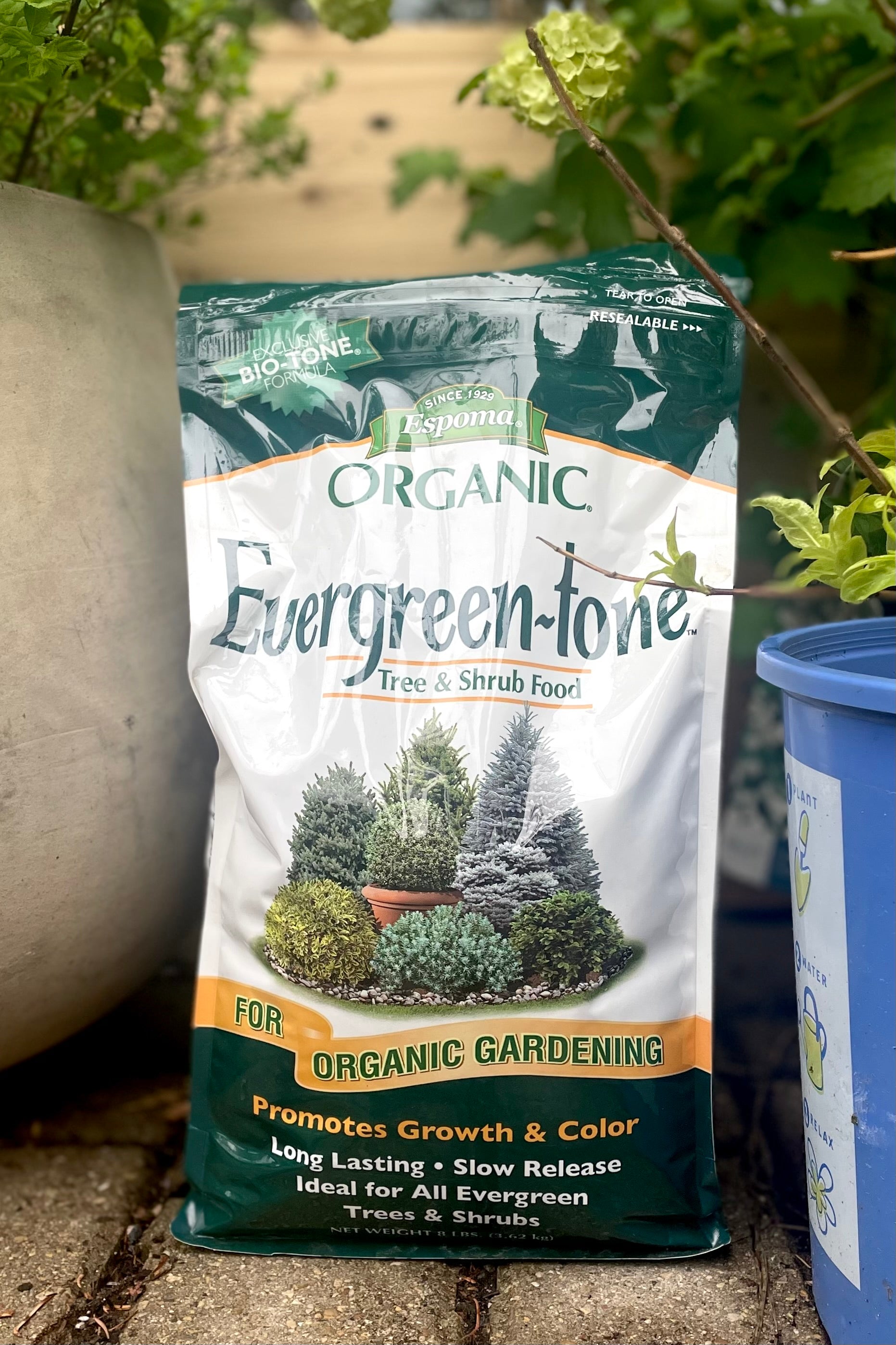 Espoma Evergreen-Tone 4lb at SPROUT HOME