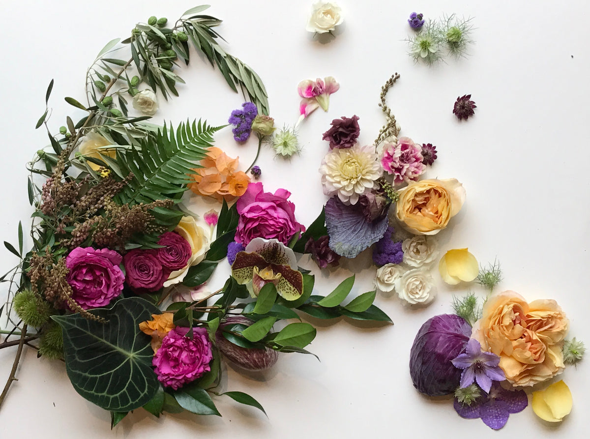 Sprout Home: Shop Plants, Floral & Decor