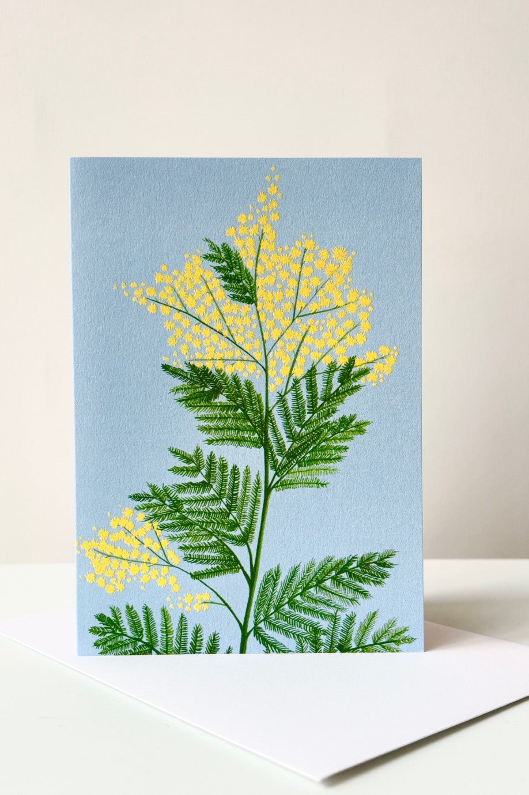 Mimosa Greeting Card at SPROUT HOME